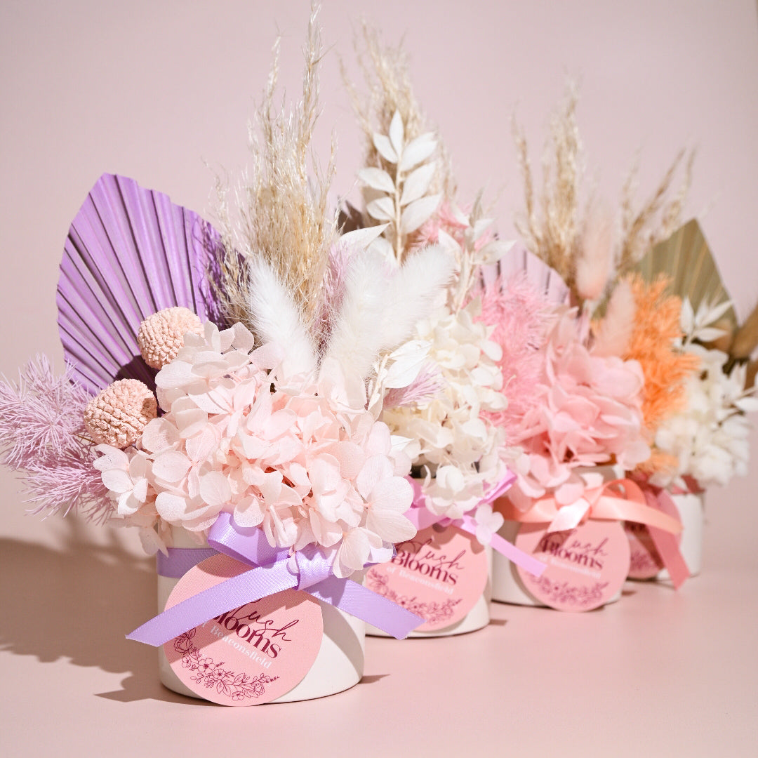 Dried Flower Gift and Arrangement | Mini Potted | Afterpay Now - A Lil ...